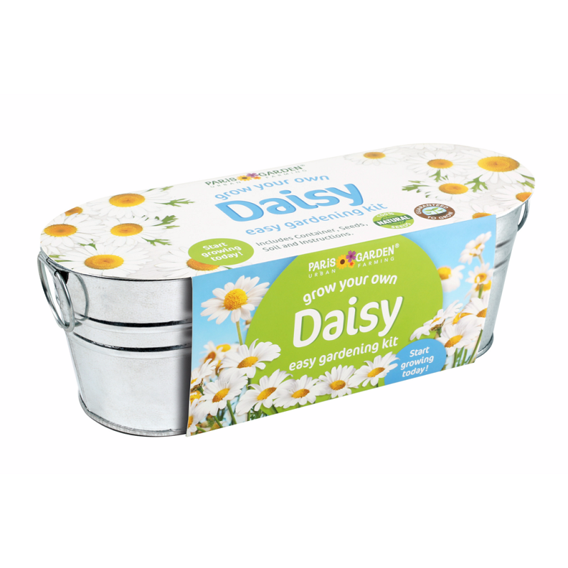PG OVAL:DAISY EA