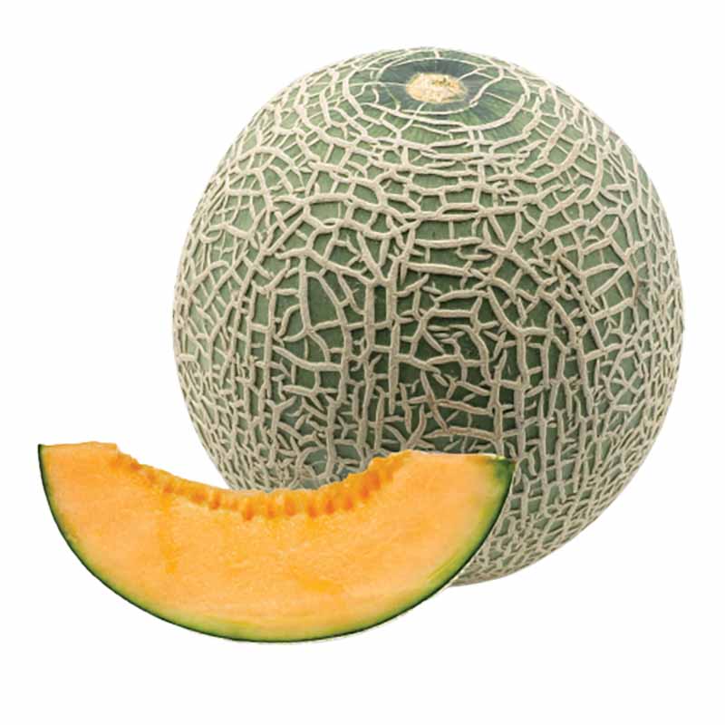 MELON RED 1EA