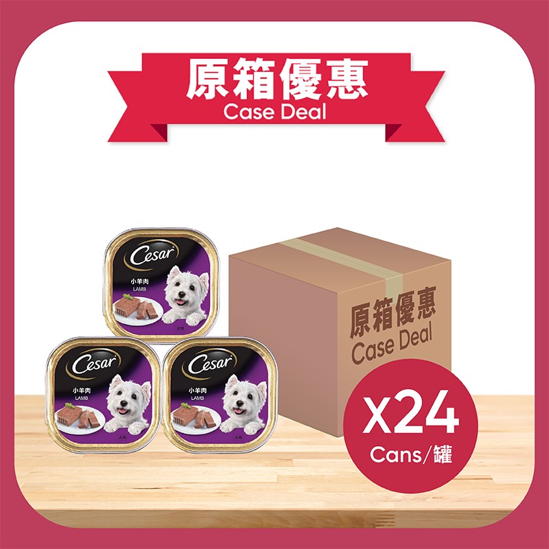 CESAR CASE DOG LAMB /24 100 GM